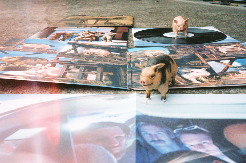 Flight b741 - p(doom) records US